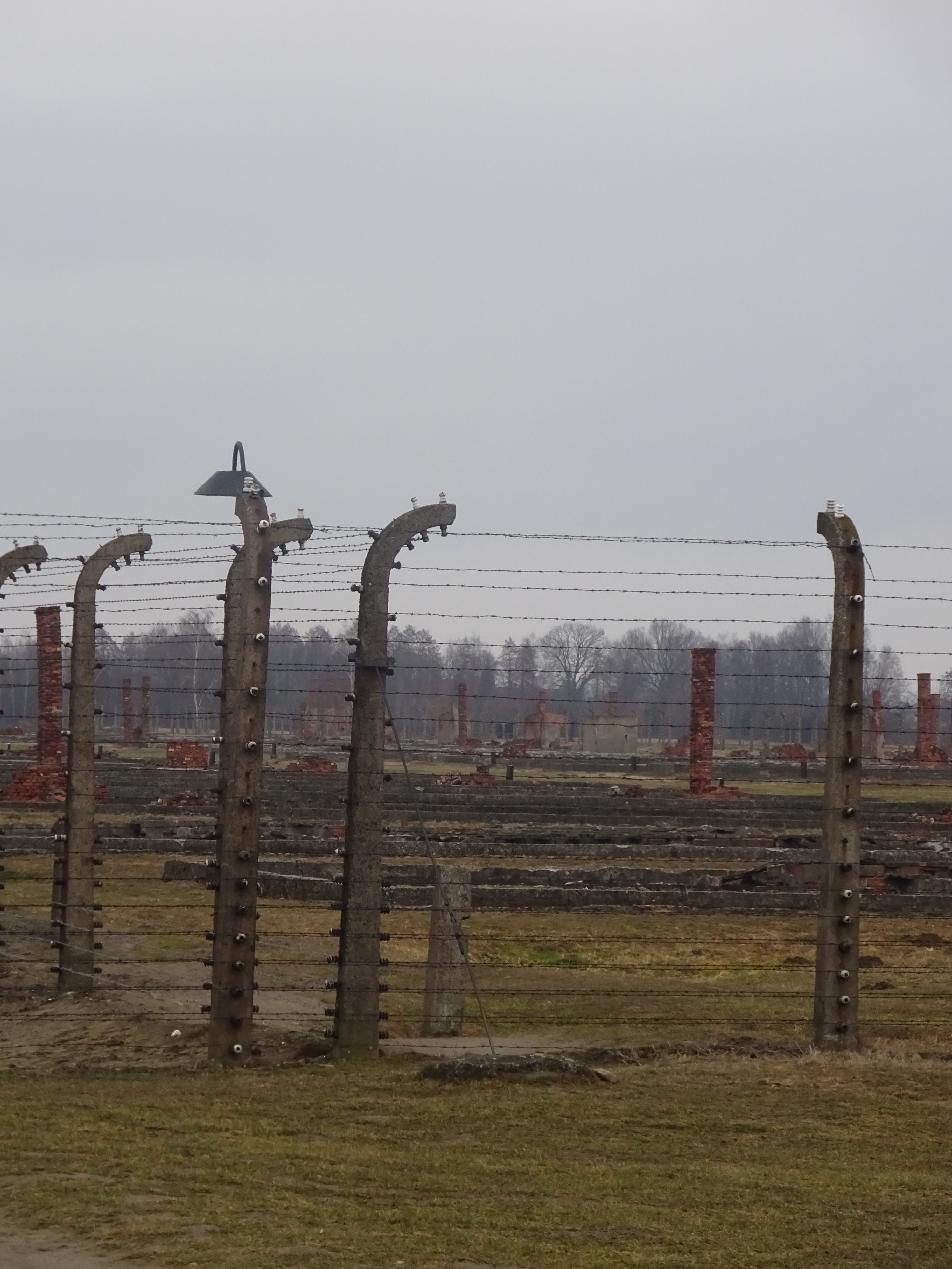 Criminology – I Think Therefore I Teach